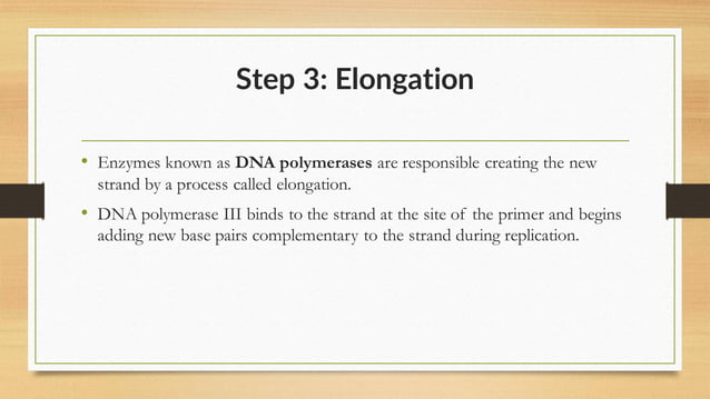 DNA replication.pdf