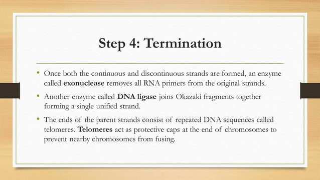 DNA replication.pdf