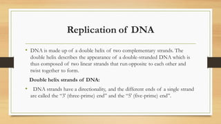 DNA replication.pdf