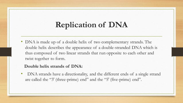 DNA replication.pdf