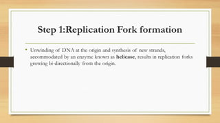 DNA replication.pdf