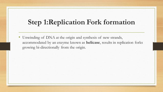 DNA replication.pdf