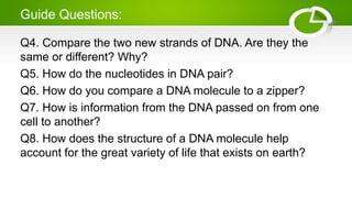 DNA replication.pptx