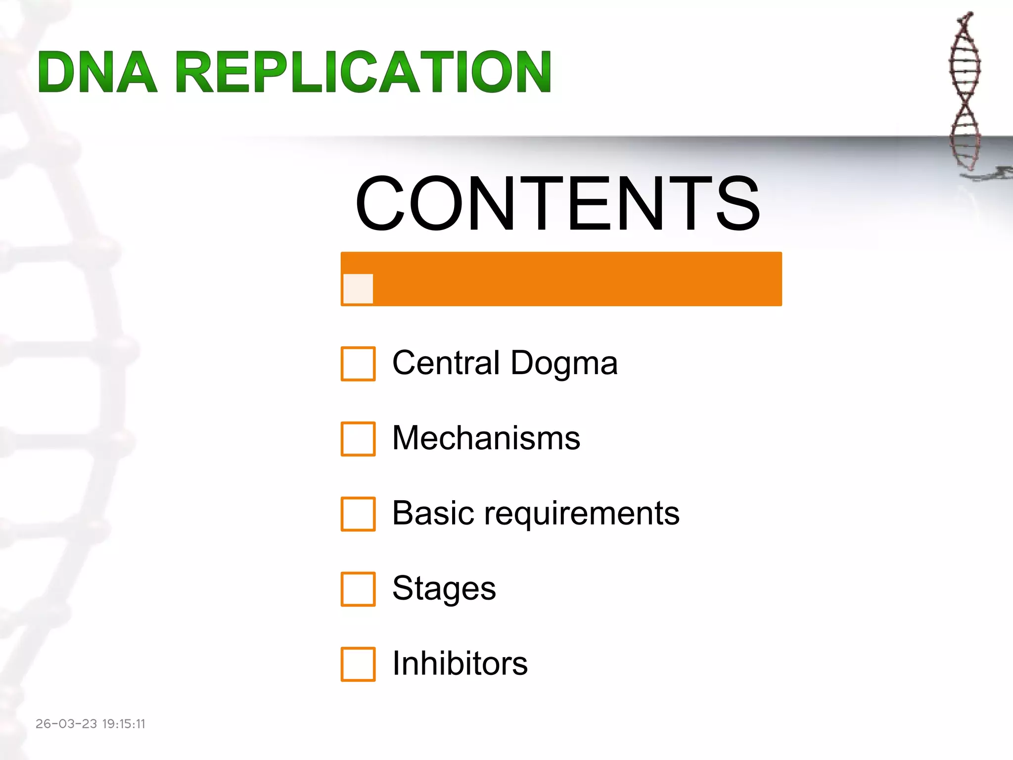DNA Replication.pdf