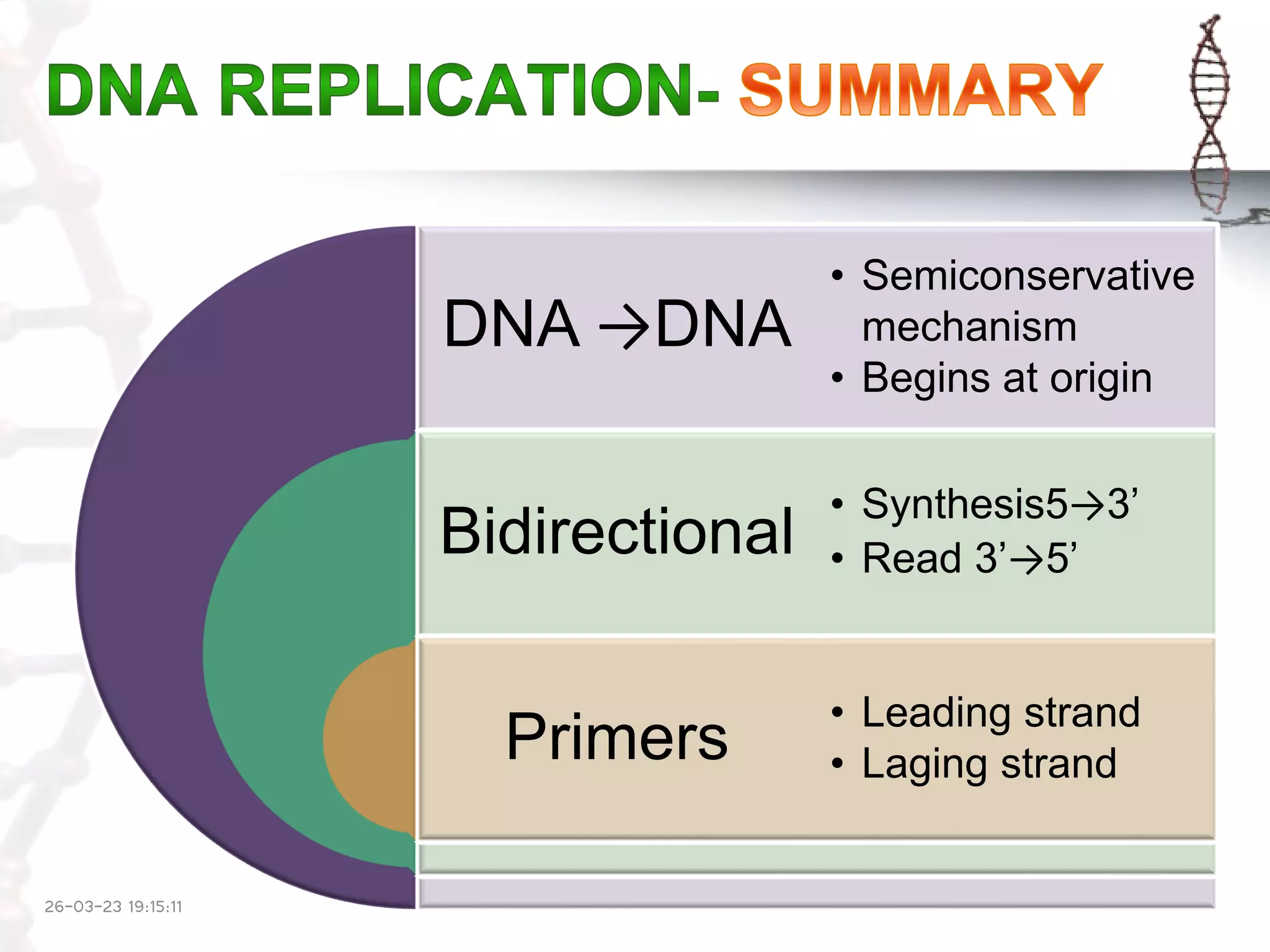DNA Replication.pdf