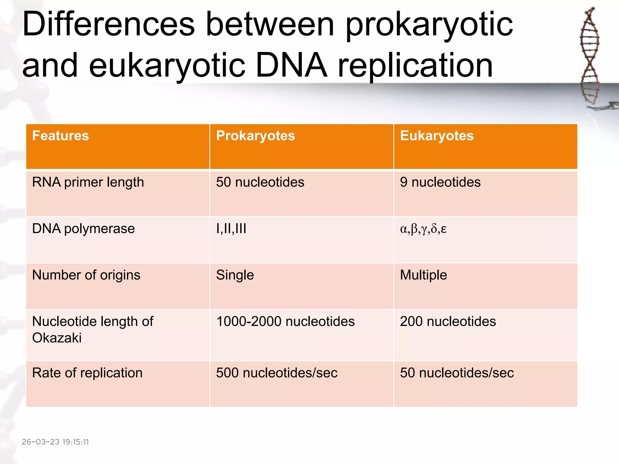 DNA Replication.pdf
