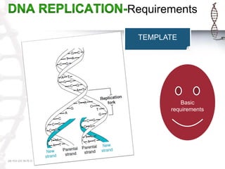 DNA Replication.pdf