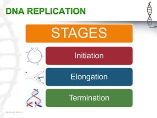 DNA Replication.pdf