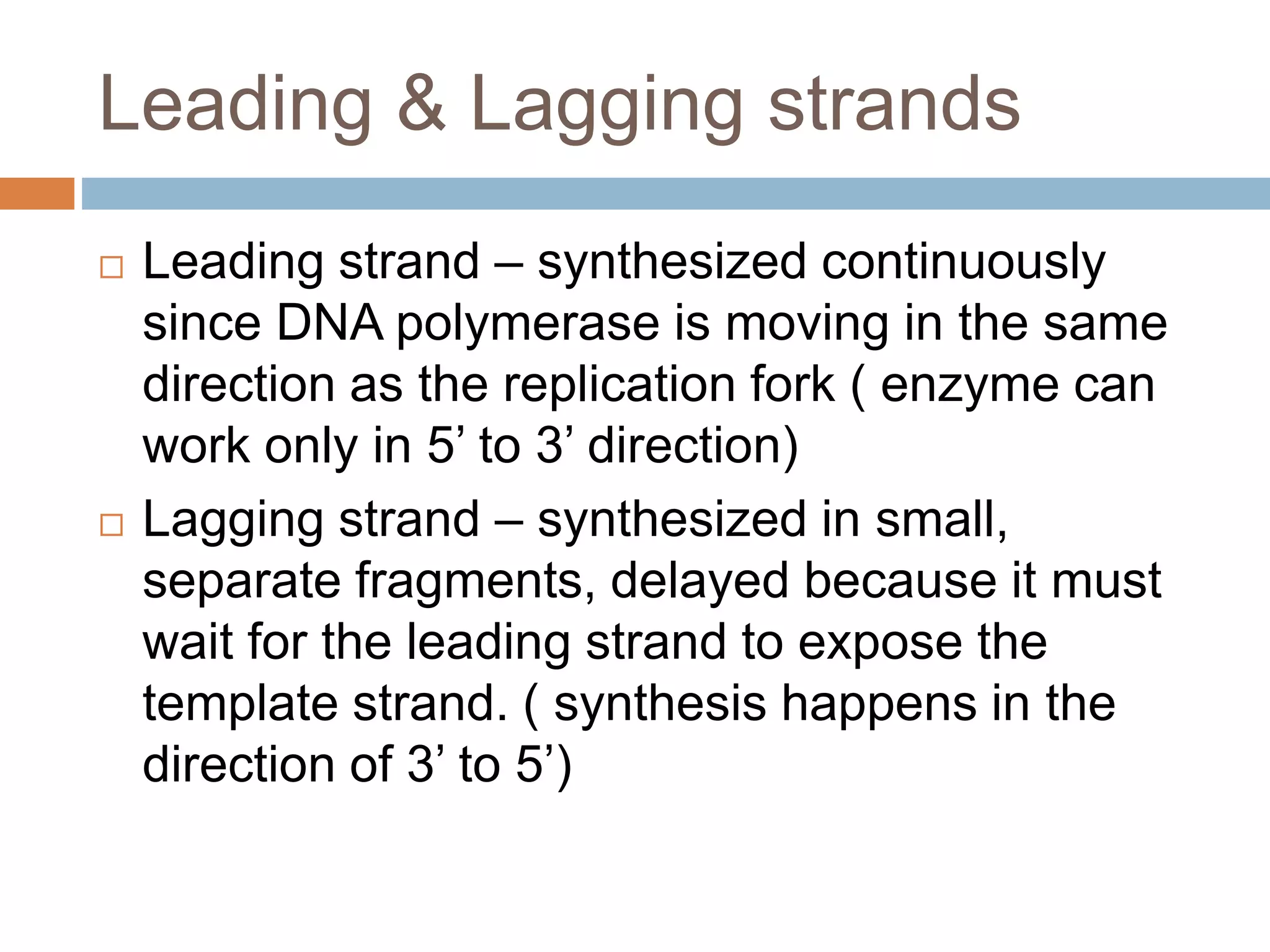 DNA replication | PPT