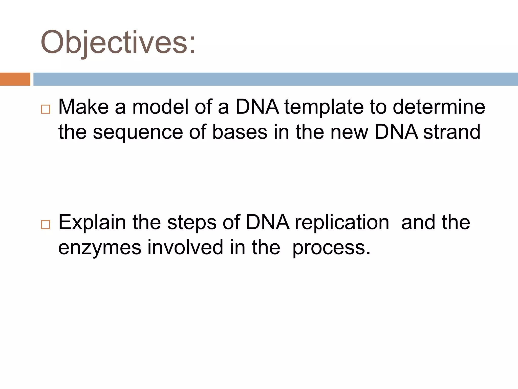 DNA replication | PPT