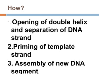 DNA replication | PPT