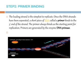 DNA replication | PPT