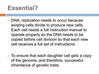 DNA replication | PPT
