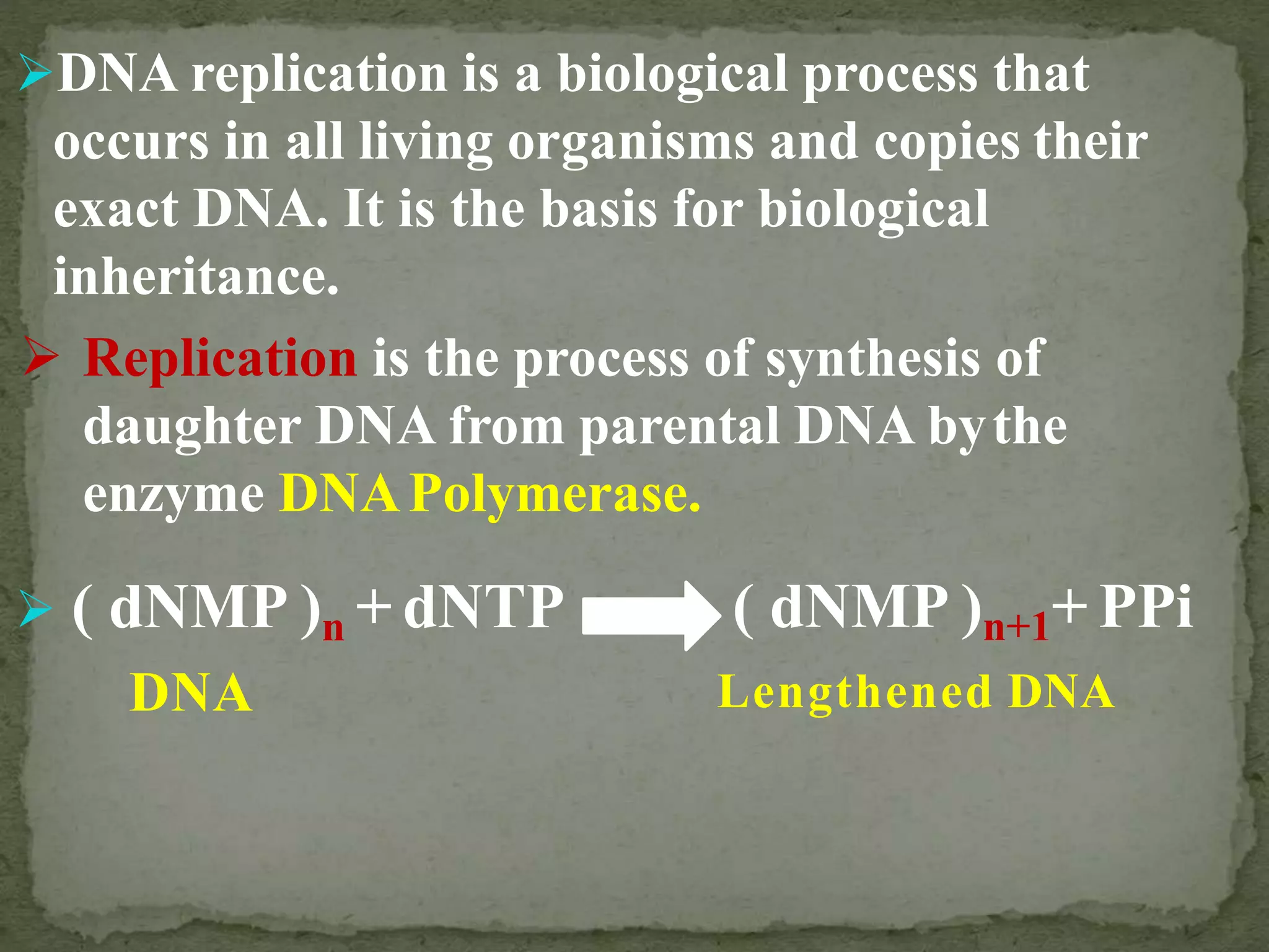 dna_replication.pptx