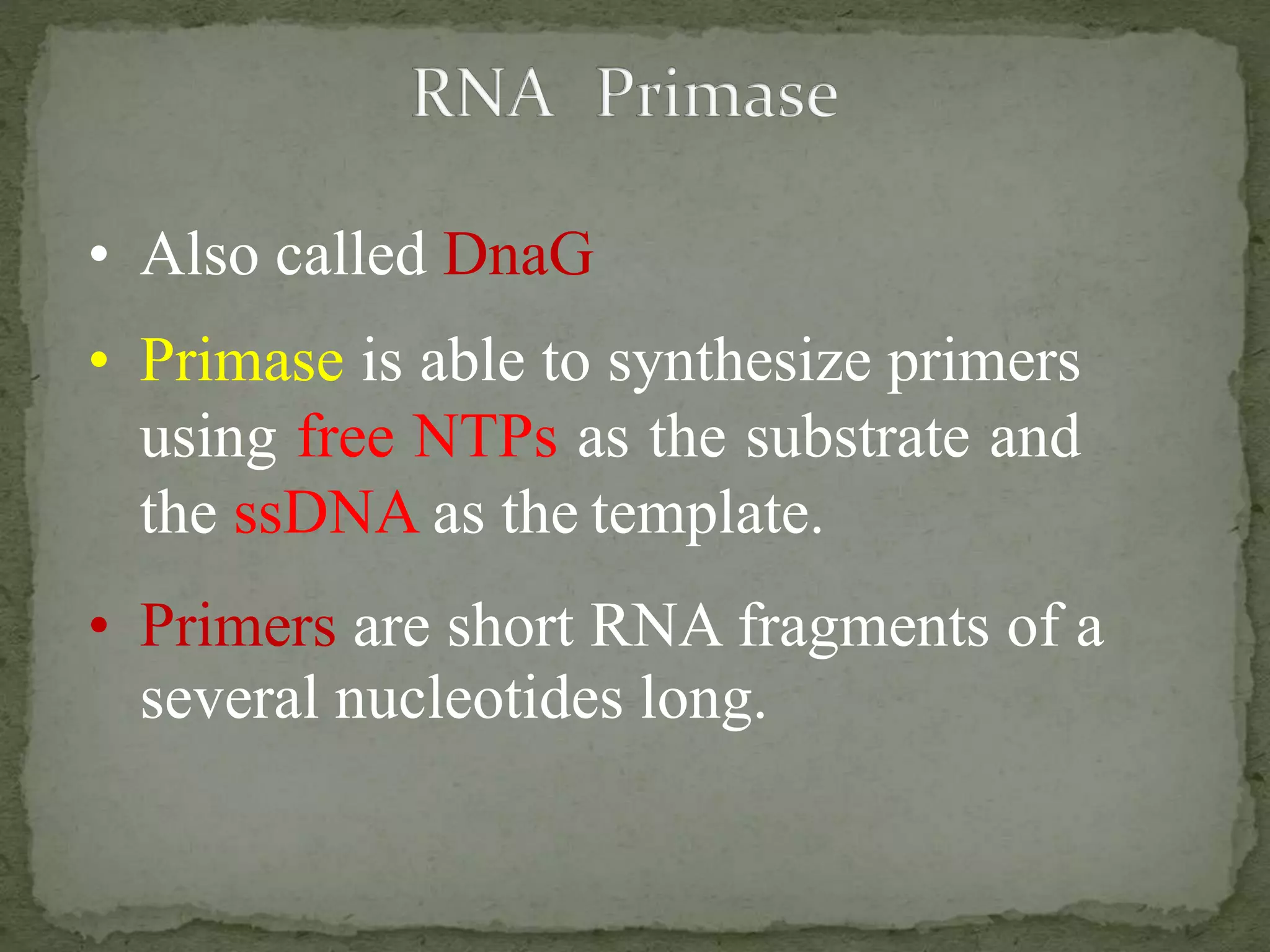 dna_replication.pptx