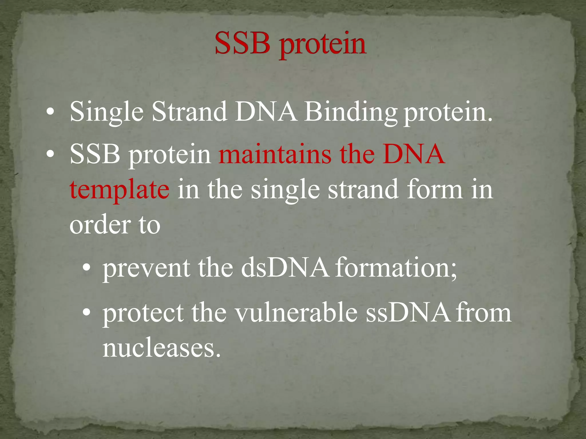 dna_replication.pptx