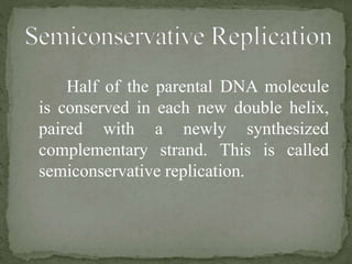 dna_replication.pptx