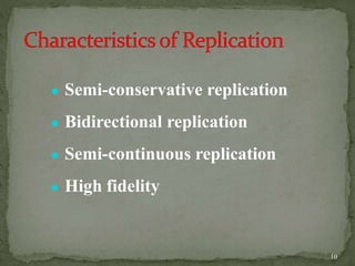 dna_replication.pptx