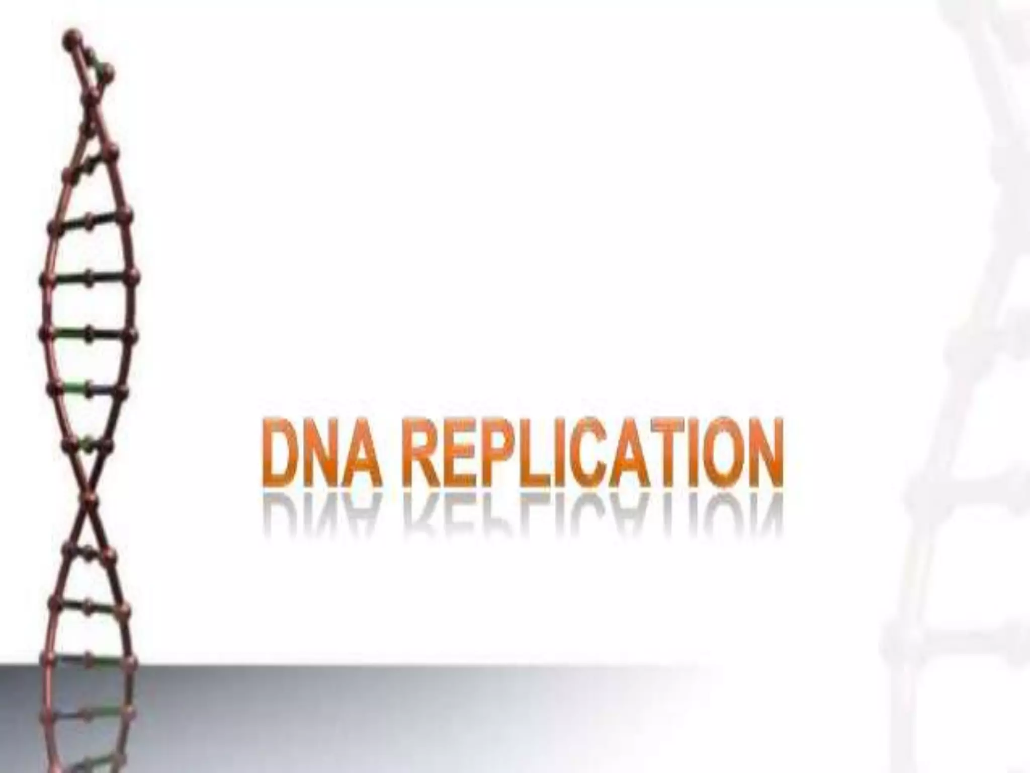 DNA replication.pptx