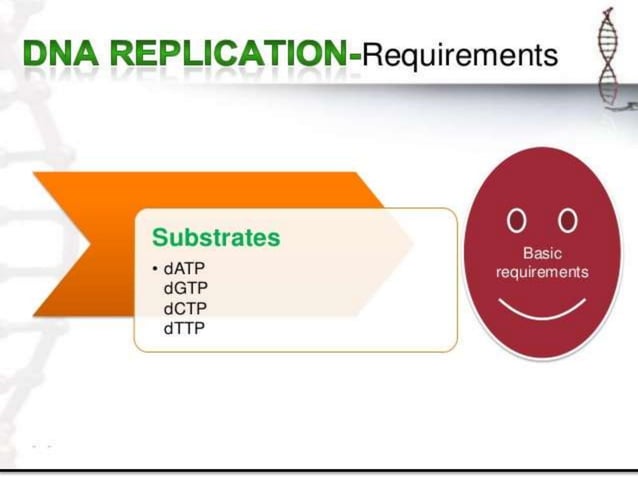 DNA replication.pptx