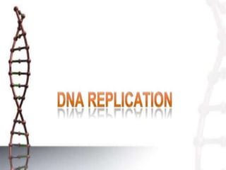 DNA replication.pptx
