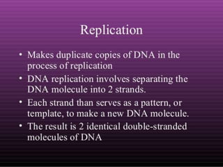 DNA replication.pptx
