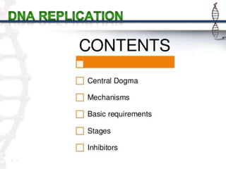 DNA replication.pptx