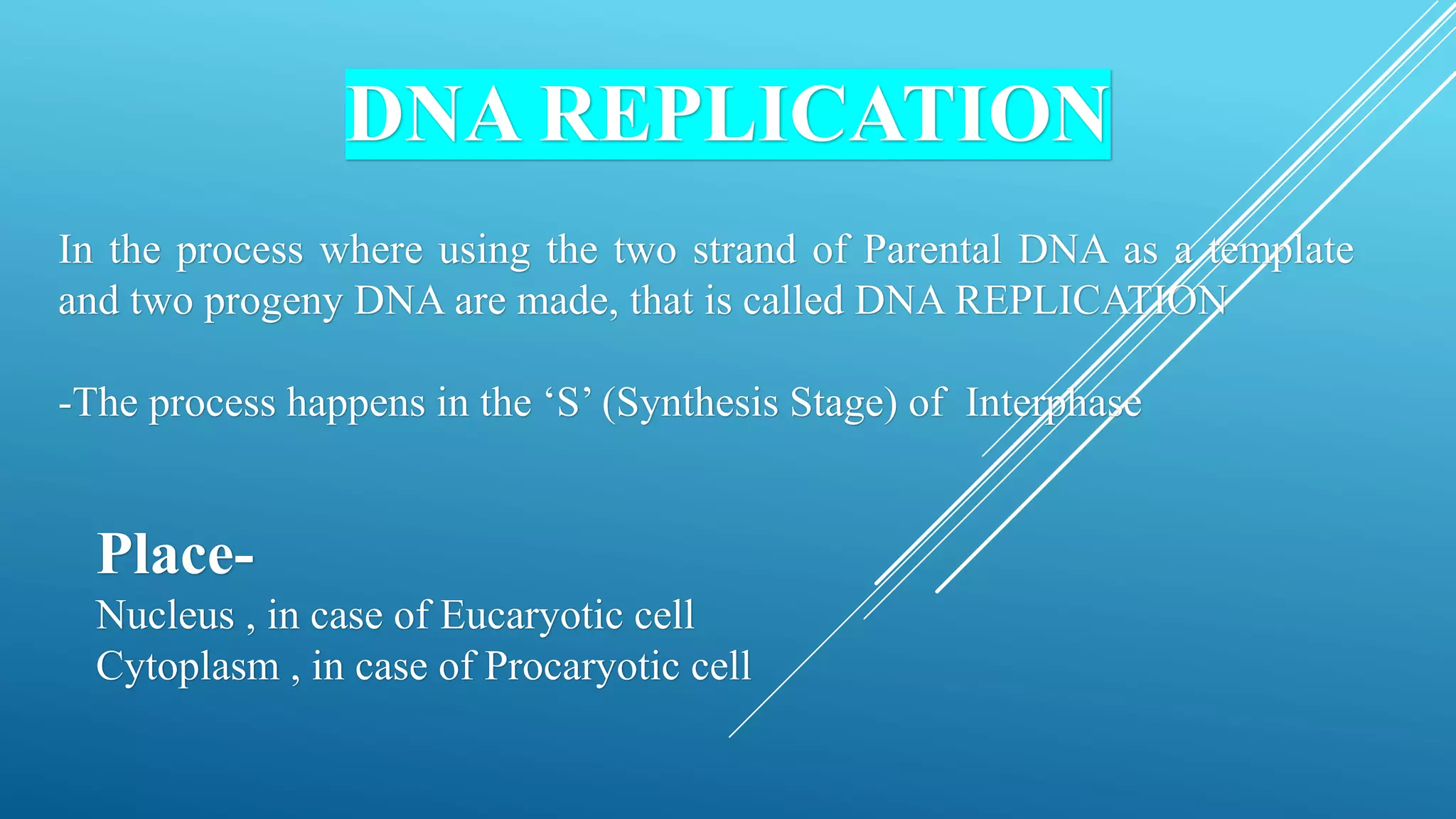 DNA REPLICATION.pdf