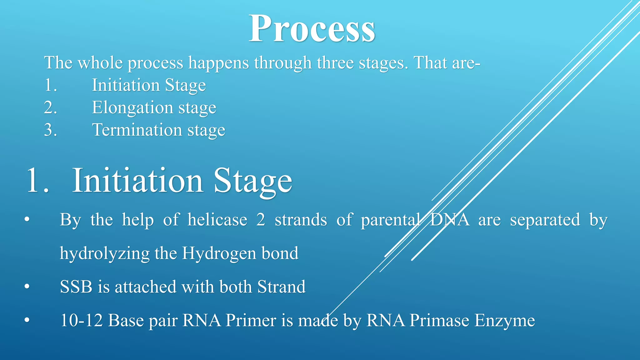 DNA REPLICATION.pdf