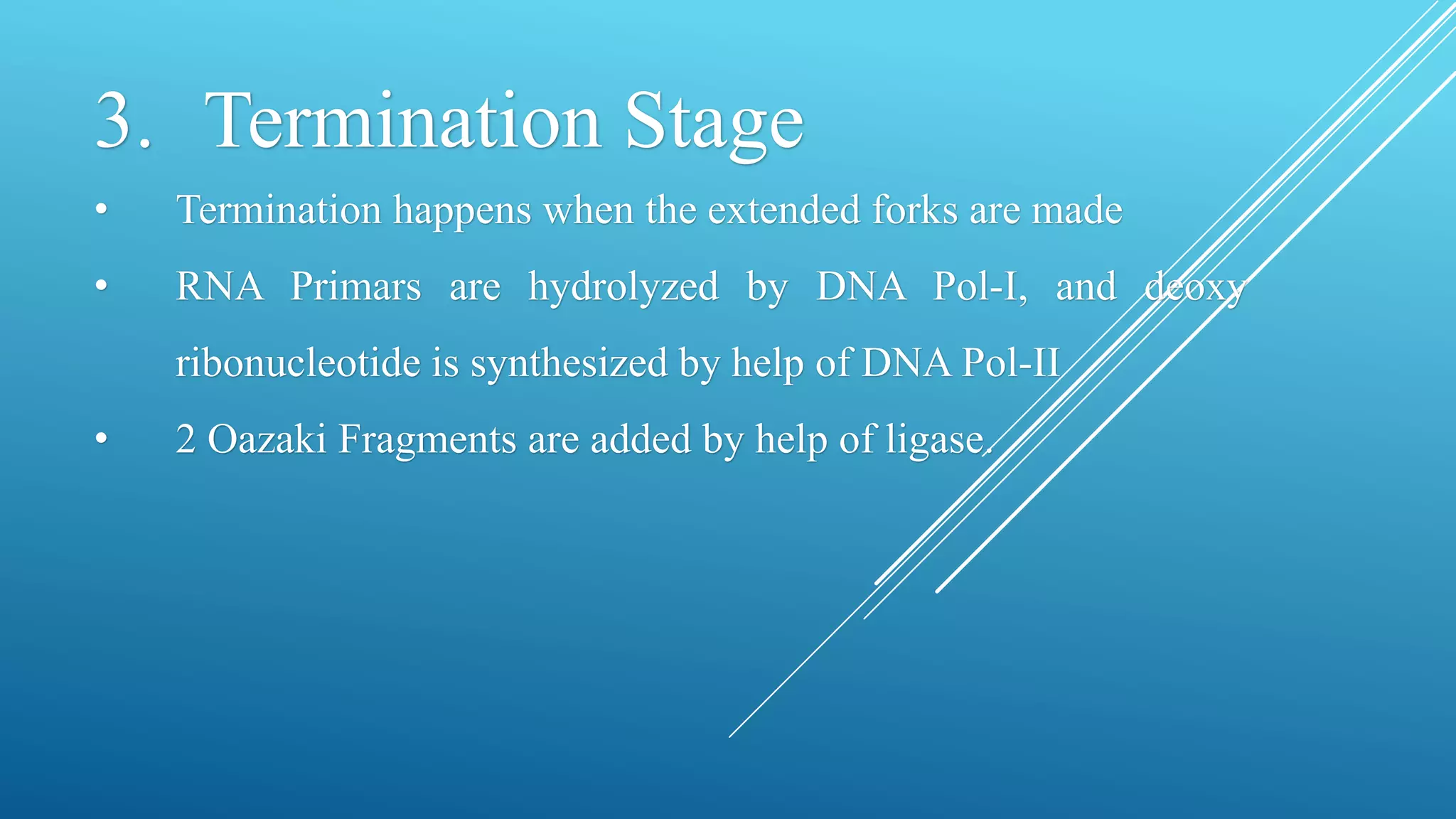 DNA REPLICATION.pdf
