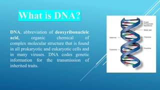 DNA REPLICATION.pdf