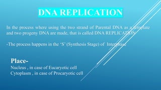 DNA REPLICATION.pdf