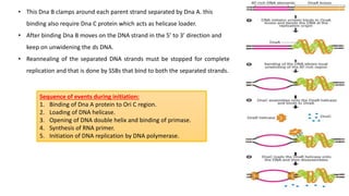 DNA replication.pptx