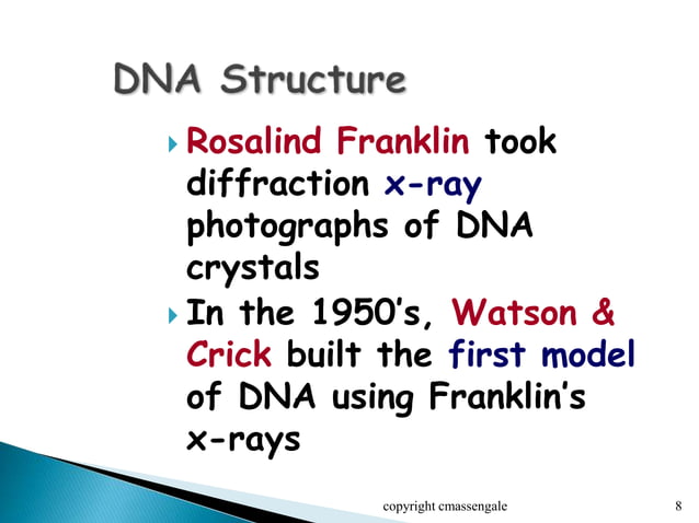 DNA REPLICATION.ppt | Free Download