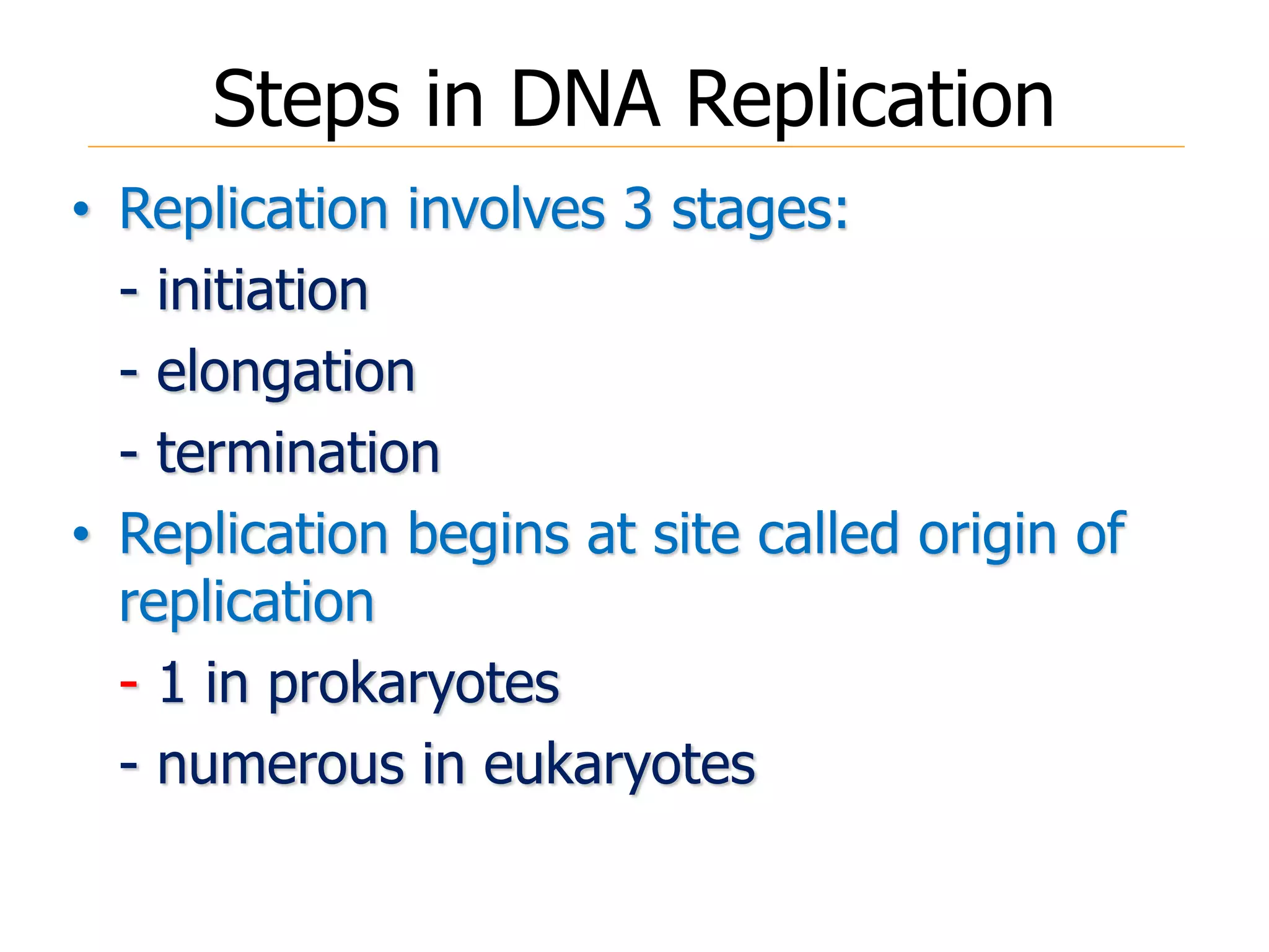 DNA replication.ppt