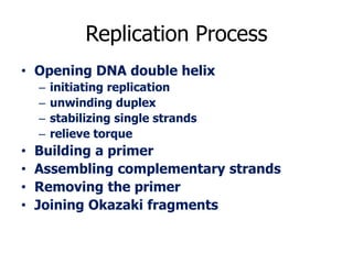 DNA replication.ppt