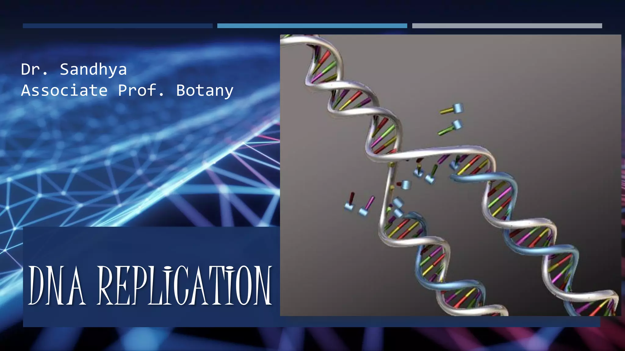 DNA replication.pdf