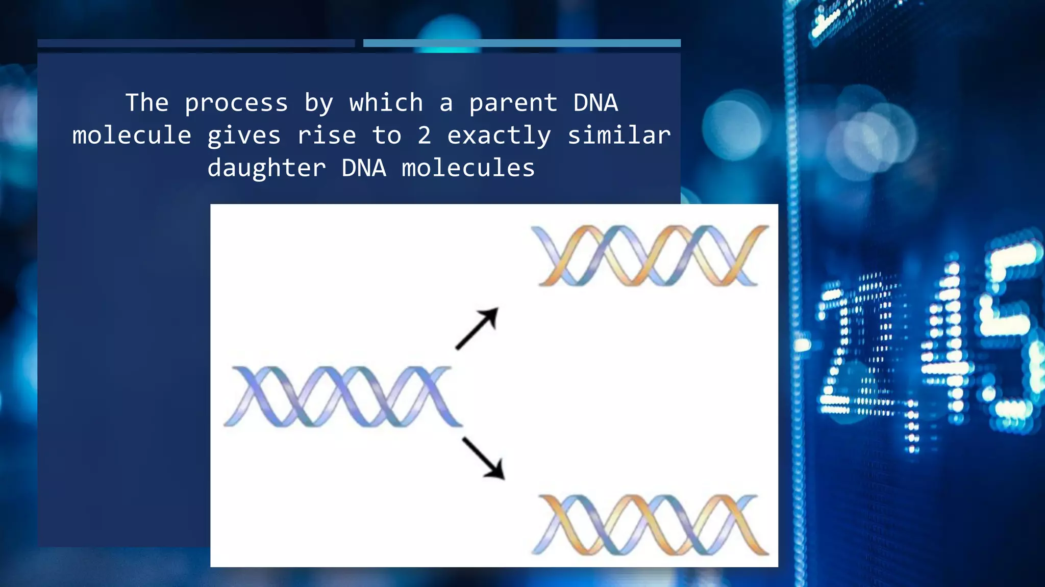 DNA replication.pdf