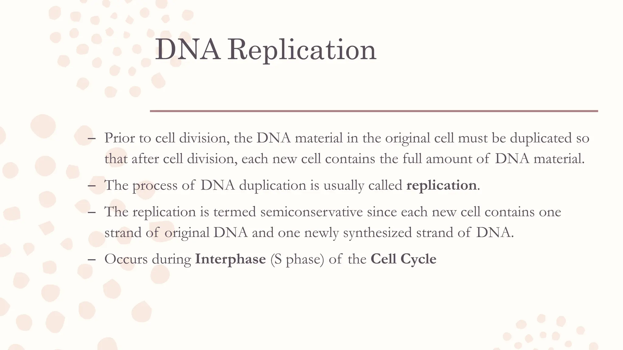 DNA Replication in eukaryotic and prokryotes | PPT | Biological ...