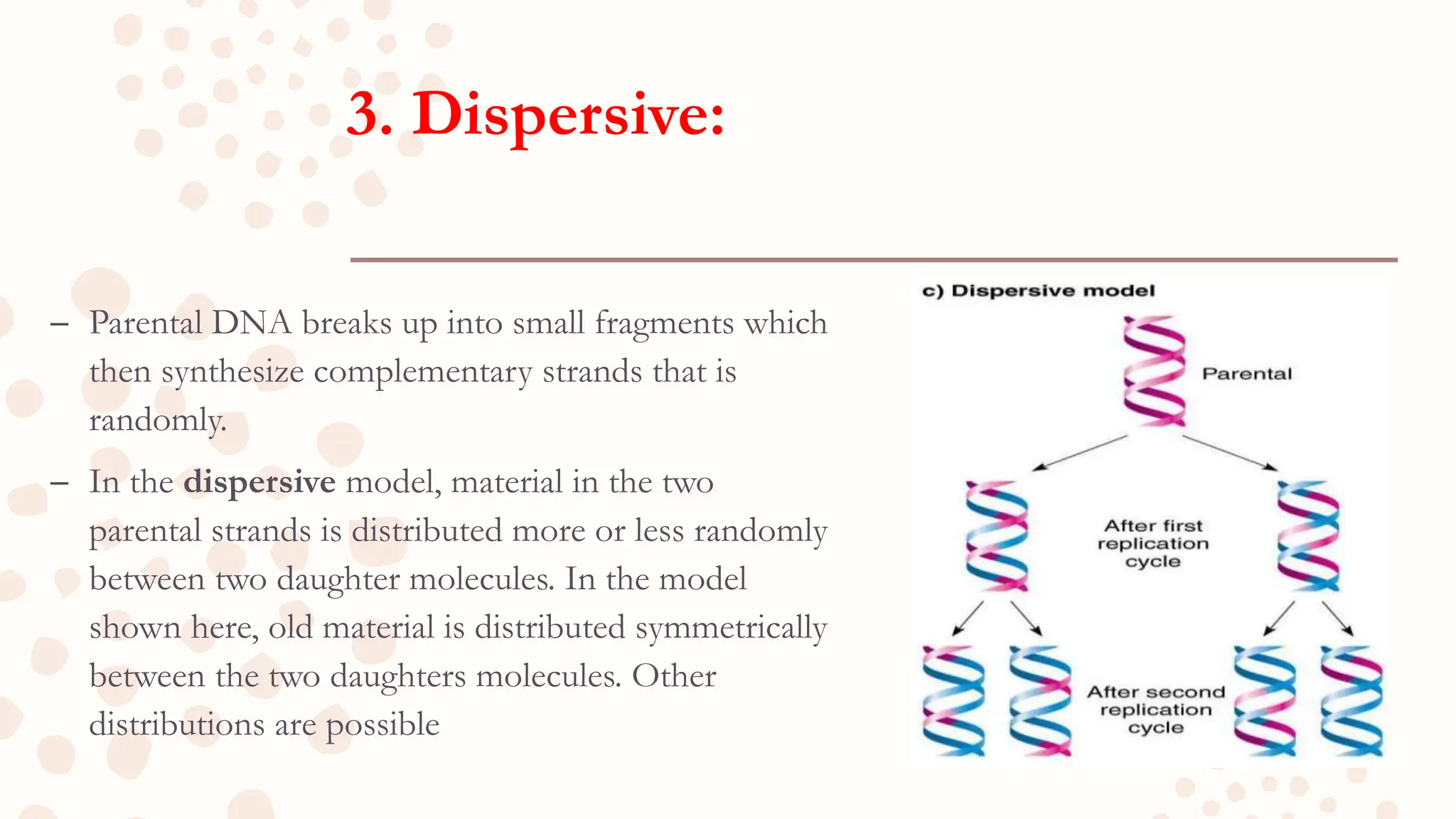 DNA Replication in eukaryotic and prokryotes | PPT