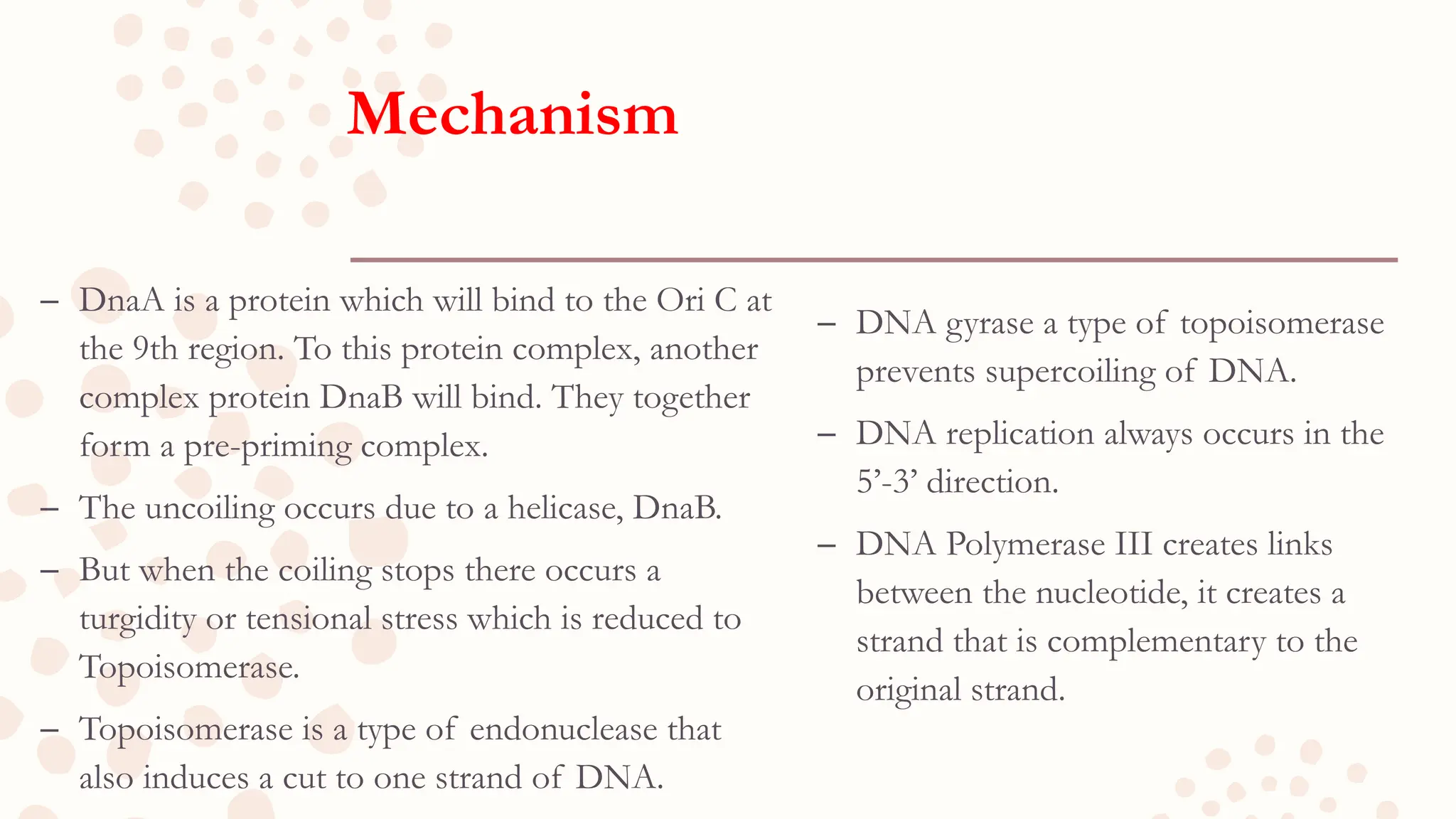 DNA Replication in eukaryotic and prokryotes | PPT | Biological ...