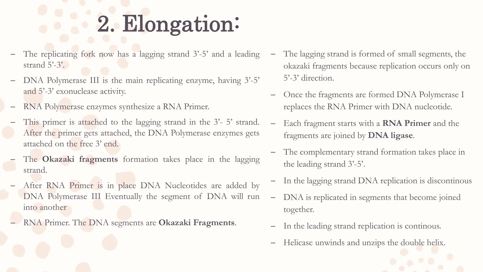DNA Replication in eukaryotic and prokryotes | PPT | Biological ...