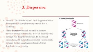 DNA Replication in eukaryotic and prokryotes | PPT | Biological ...