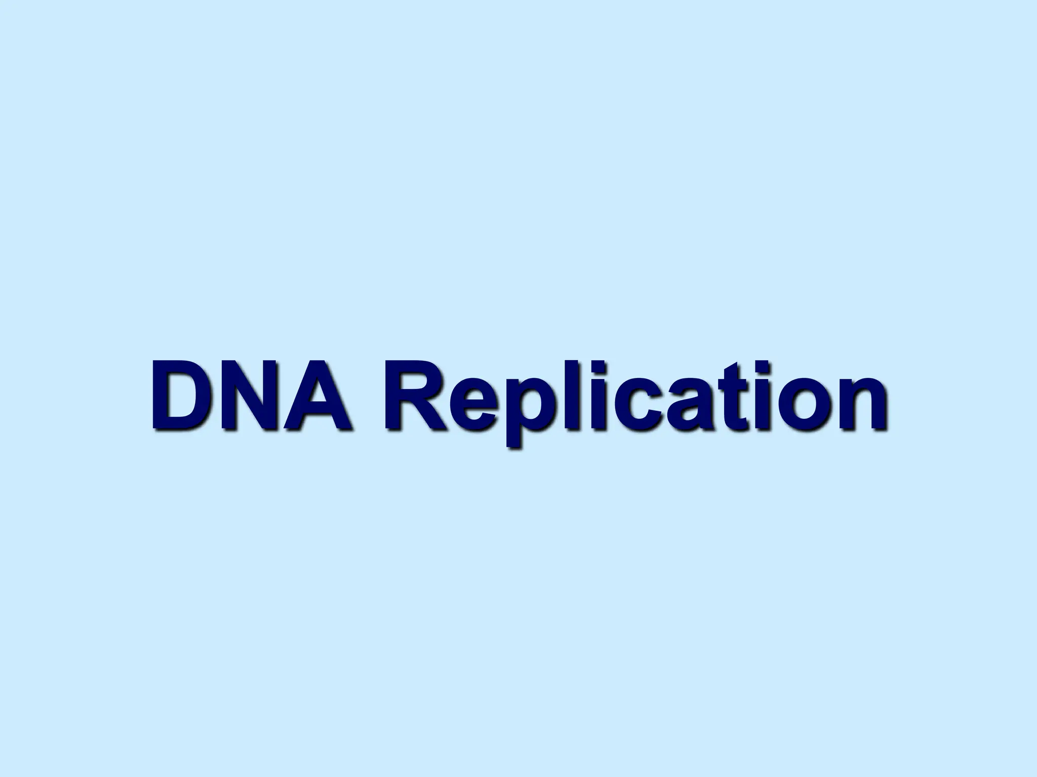 DNA Replication in animal and plant cells.ppt