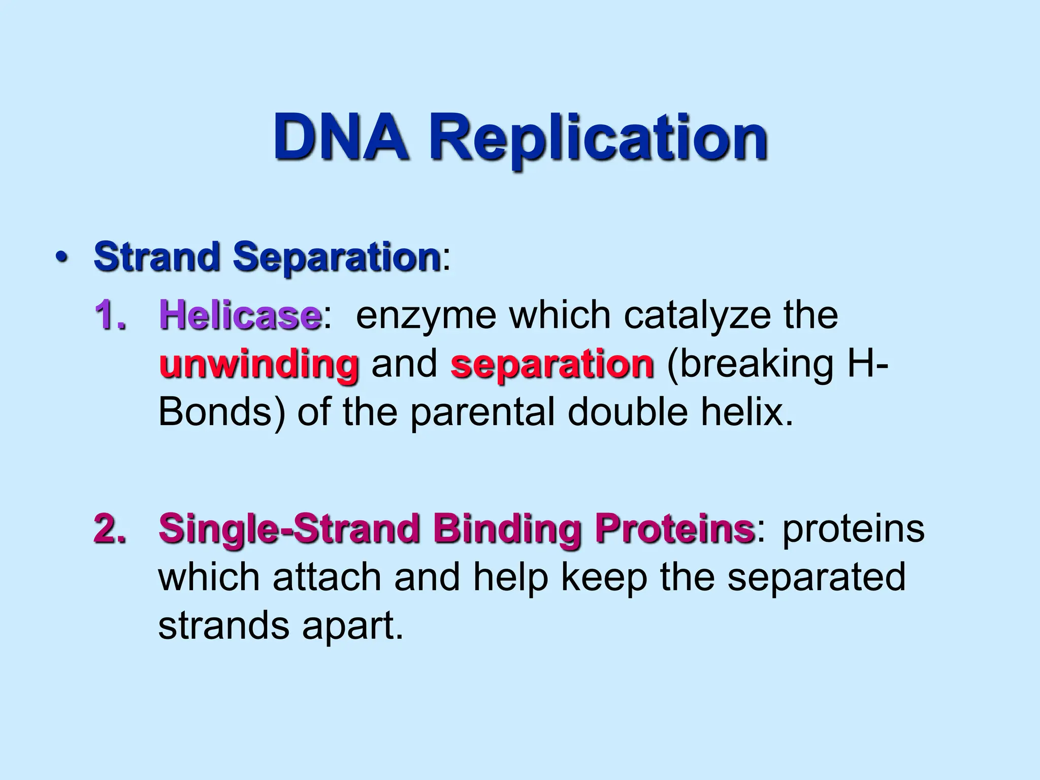 DNA Replication in animal and plant cells.ppt