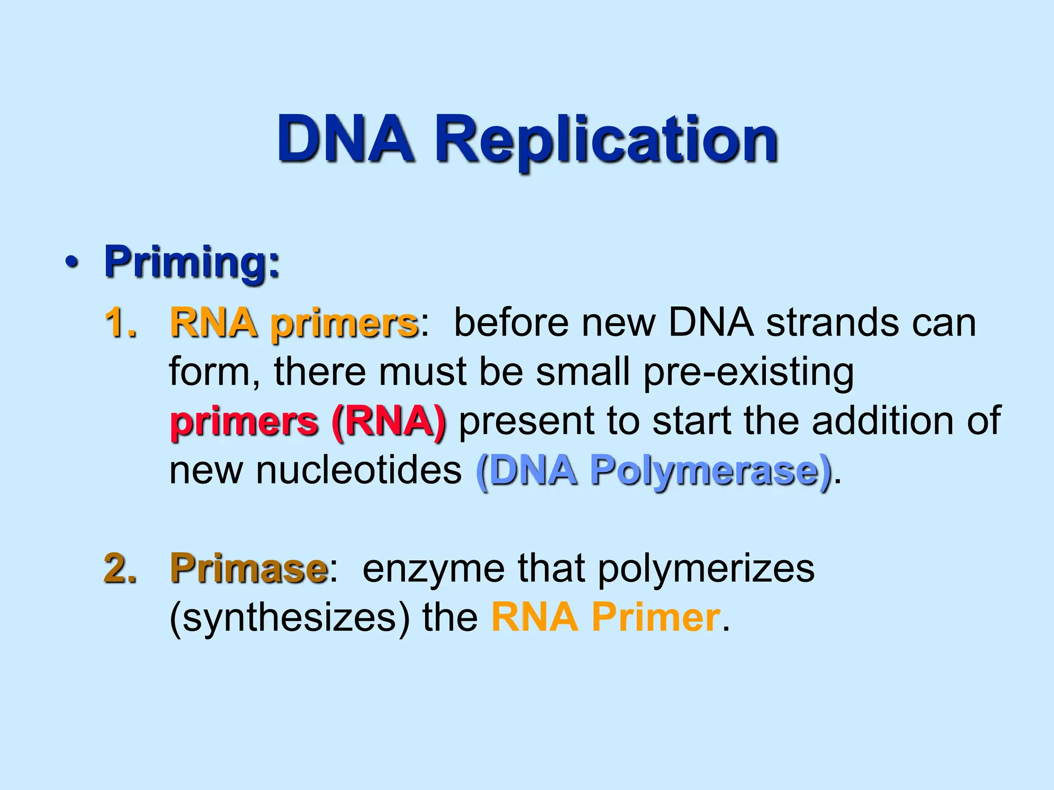 DNA Replication in animal and plant cells.ppt