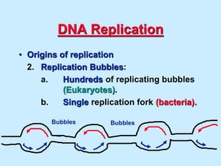 DNA Replication in animal and plant cells.ppt
