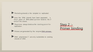 molecular biology ,Replication of DNA,with all steps | PPTX
