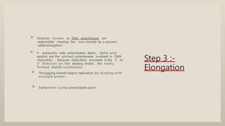 molecular biology ,Replication of DNA,with all steps | PPTX