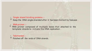 molecular biology ,Replication of DNA,with all steps | PPTX
